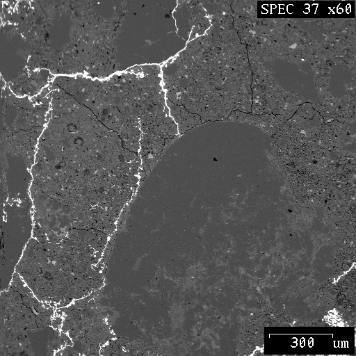 Analysis of Compressed Stress-Induced Cracks in Concrete